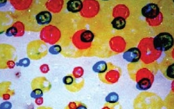 Diagnostic Chart & Troubleshooting Guide for Flexo Printing Defects