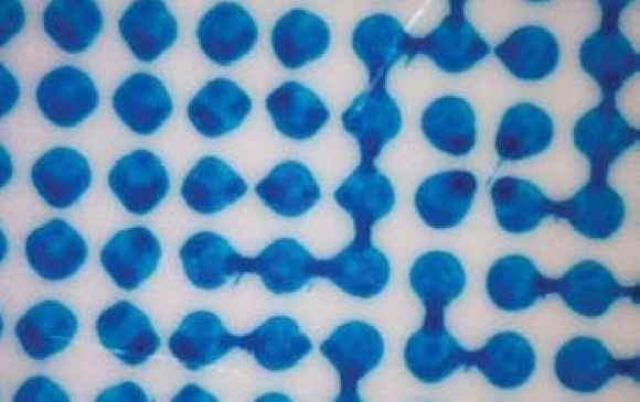 Flexo Printing Defects: 3 Main Causes for Bridging & Filling In